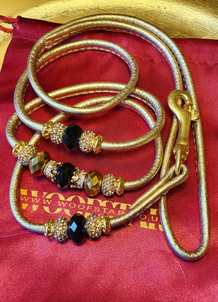 Bling dog show lead – WoofStar Shop