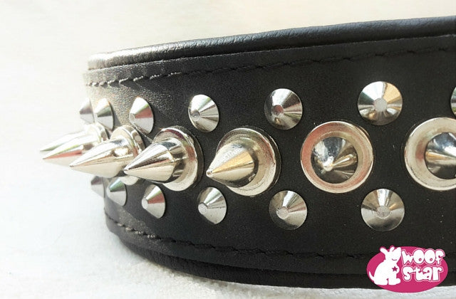 Spiked Dog Collar - Wide – WoofStar Shop
